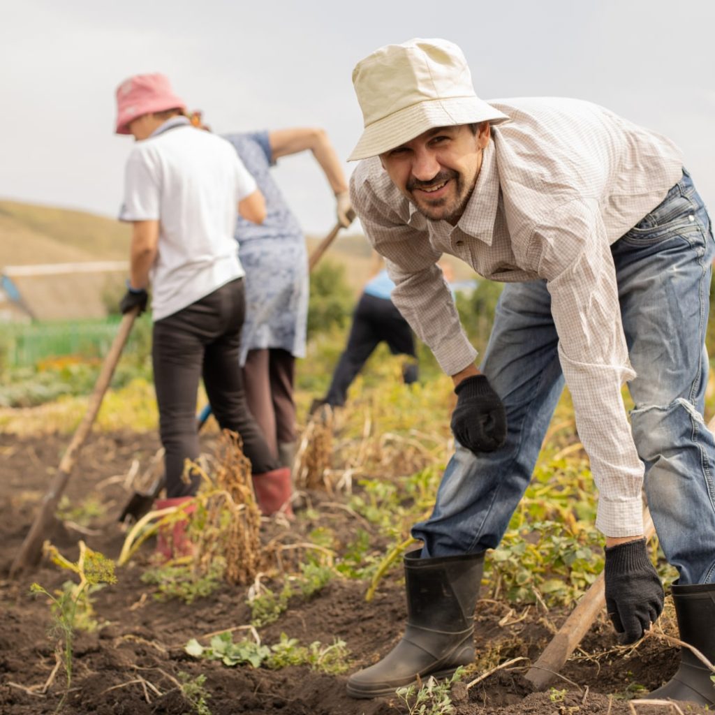 Knowledge Sharing Platform - Ethical Food Entrepreneurship